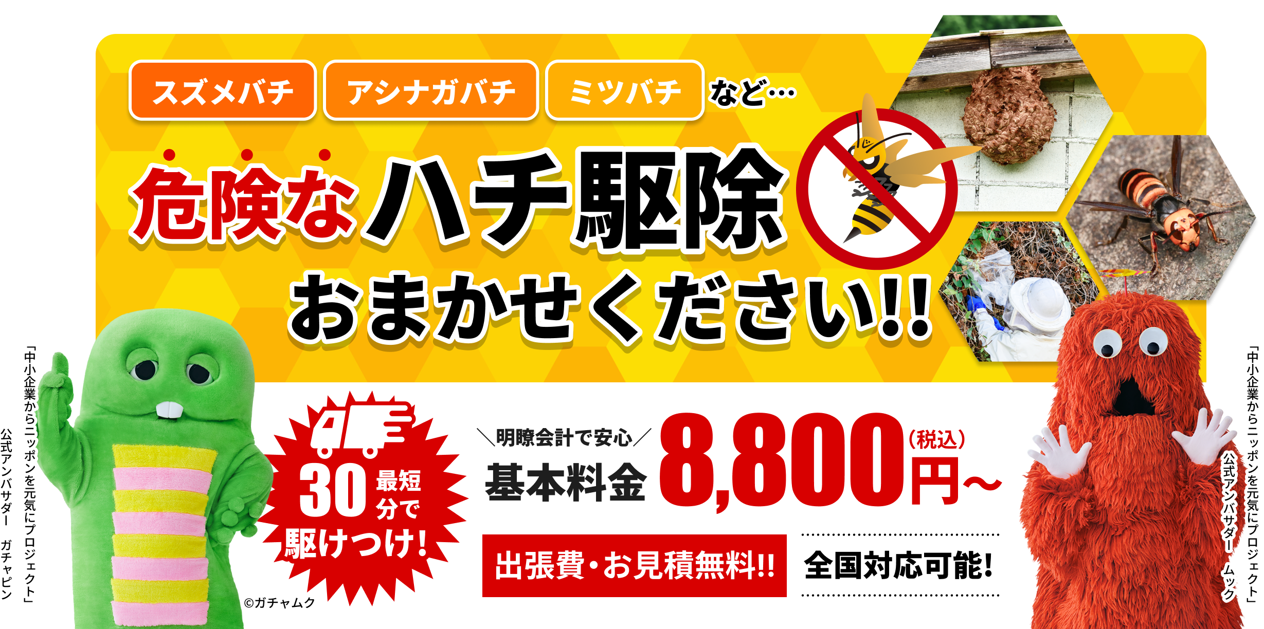 大阪市西成区 - ハチ駆除専門クリーンライフ |ハチ駆除専門クリーンライフ